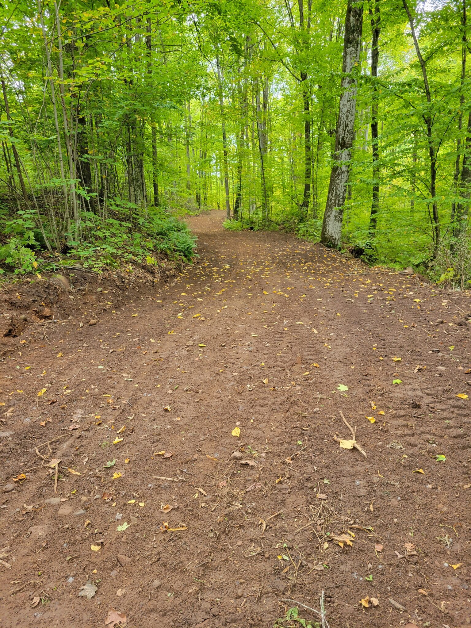 Ski Trail Announcement: NEW 1.6k Warm-Up Loop - WinMan Trails