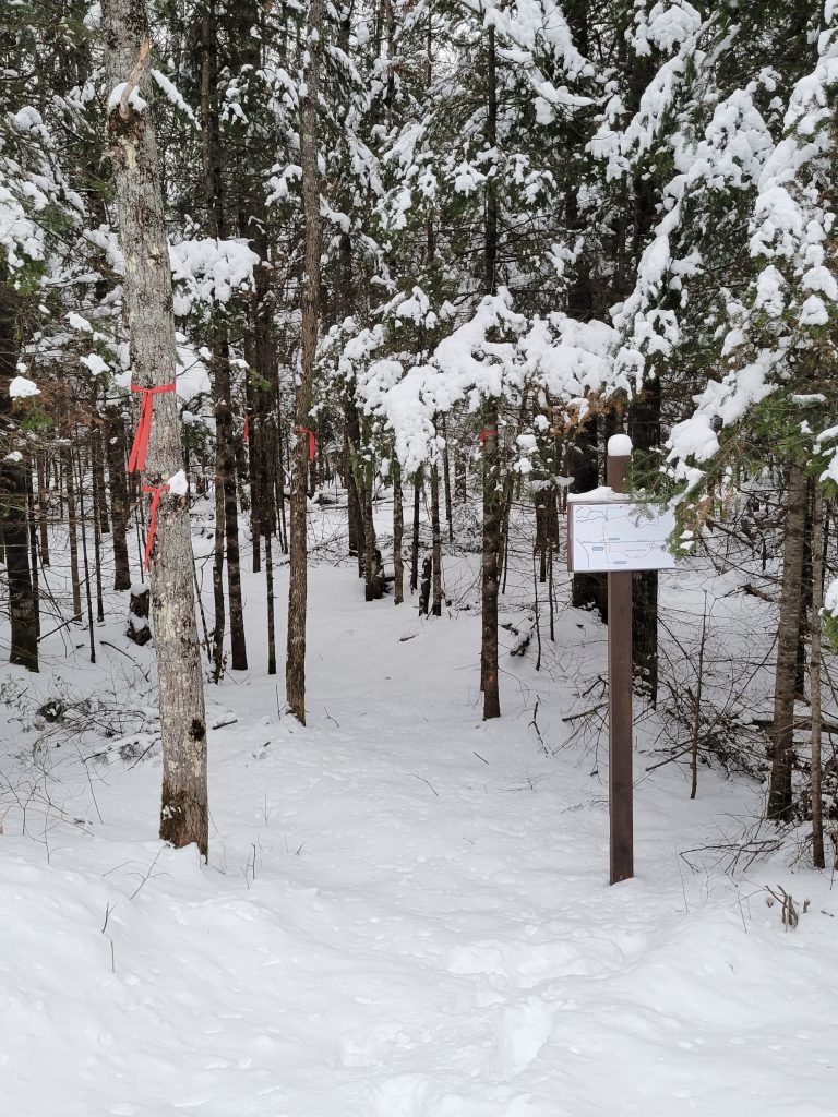 Snowshoe Trails - WinMan Trails