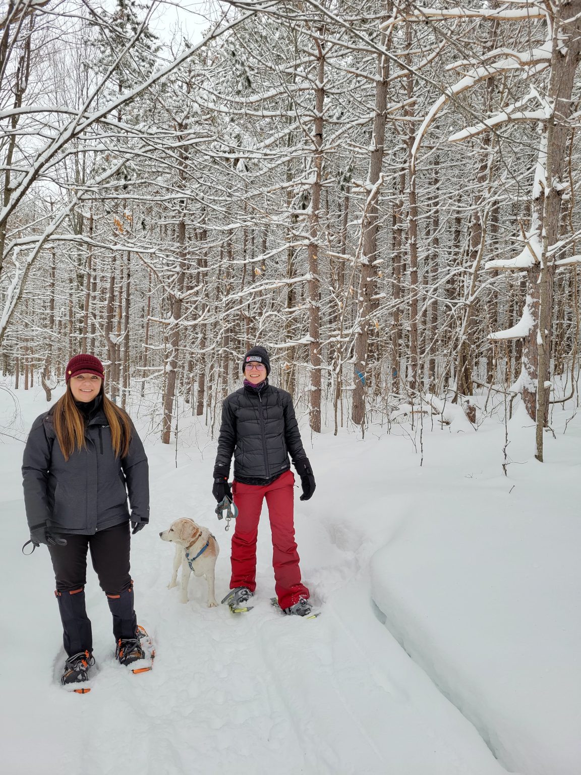 Snowshoe Trails - WinMan Trails