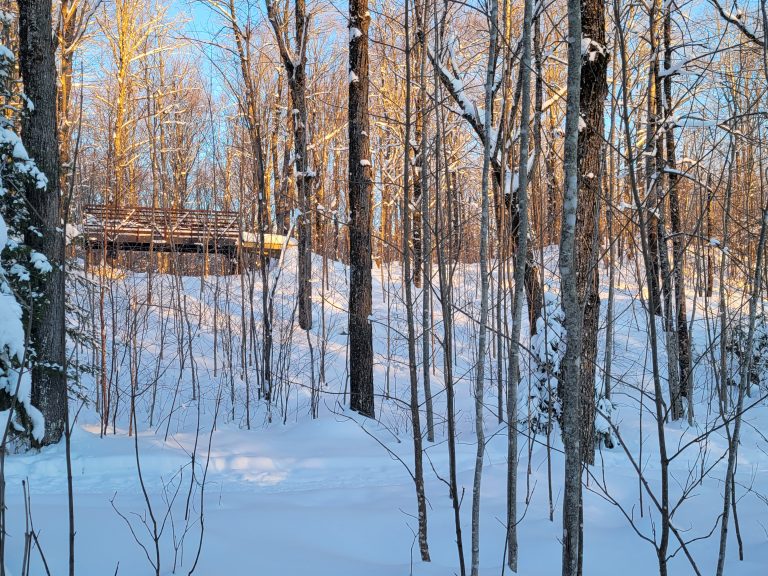 Snowshoe Trails - WinMan Trails